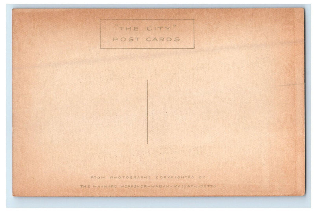 c1910 Mary Lyon Hall, Mount Holyoke College Massachusetts MA Unposted ...